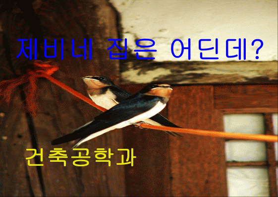 동물들의 주거조사