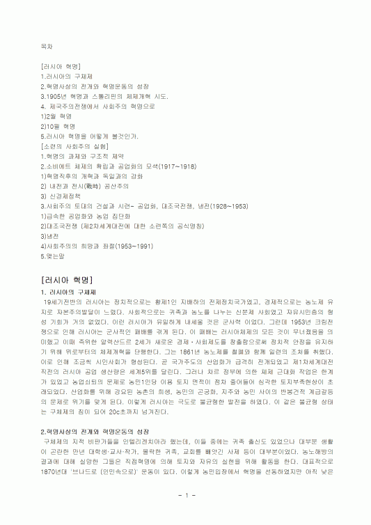 러시아혁명 레포트 자료