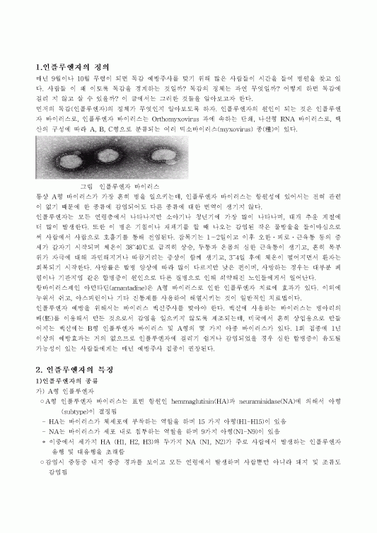 인풀루엔자 레포트 자료