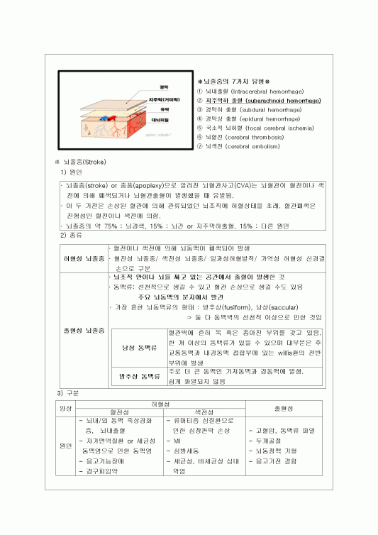 지주막하출혈 SAH 지주막하 뇌졸중 출혈성뇌졸중 지주막 지주막하출혈간호
