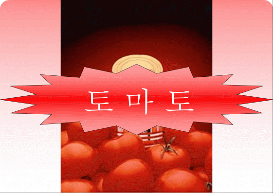 토마토에 대한 발표
