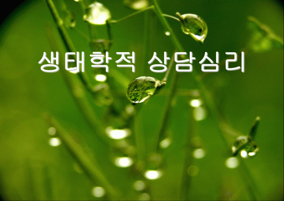 [생태학적 상담심리] 생태심리학의 이론과 원리, 배경, 치료기법 등등 발표자료
