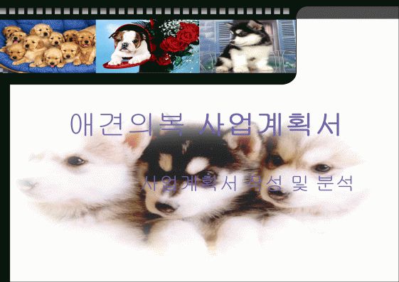 애견의복 사업계획서