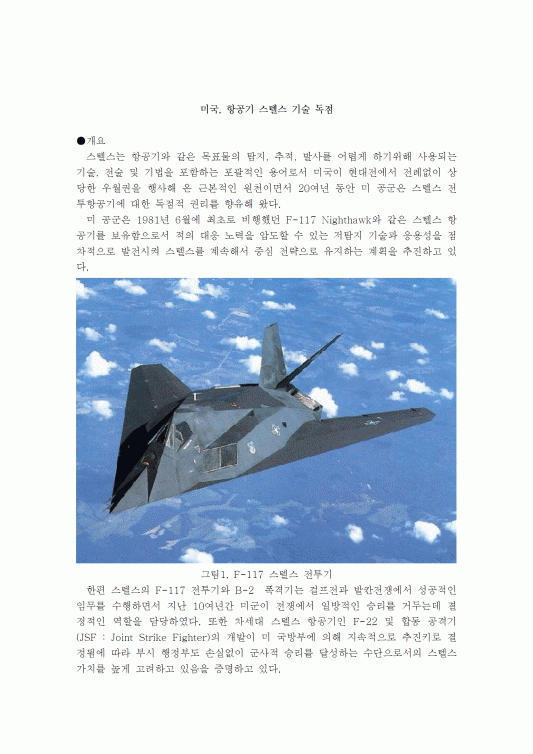 스텔스(Stealth)  항공기 기술