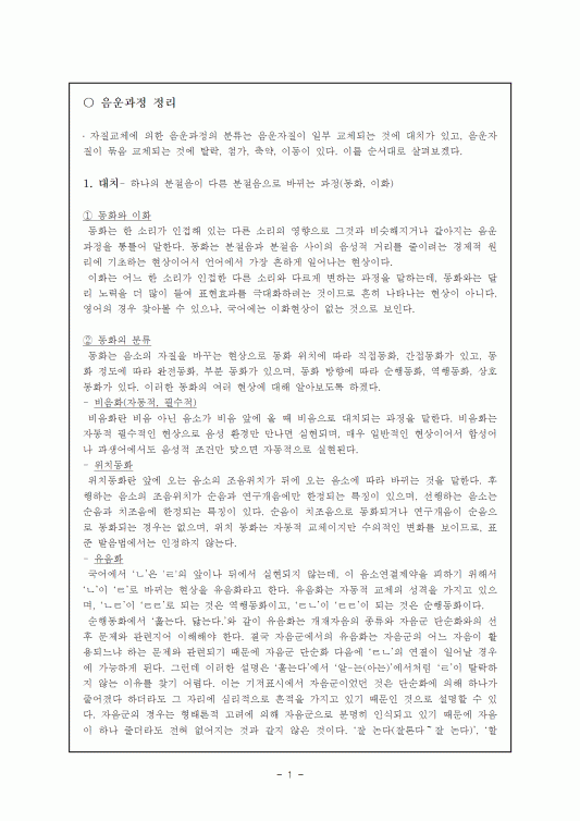 음운과정에 대하여
