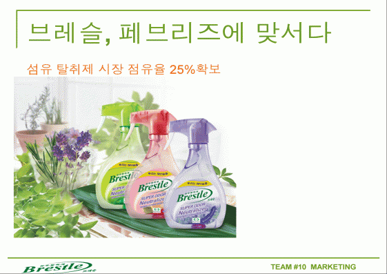 [마케팅] 브레슬, 페브리즈에 맞서다