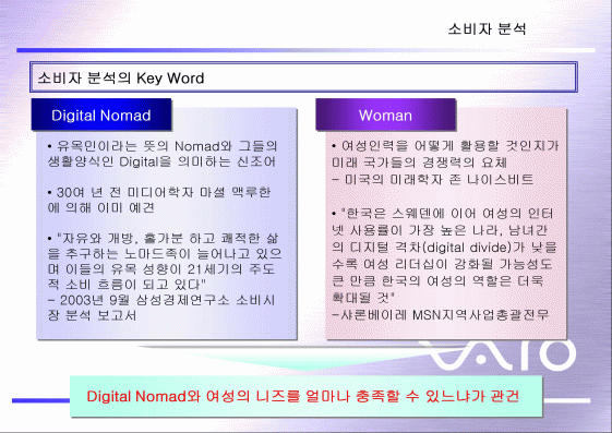 [마케팅] 소니 VAIO 노트북 소비자분석