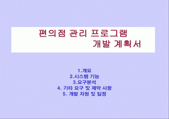 편의점 관리 프로그램 개발 계획서