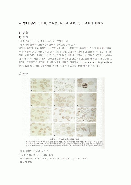 병태 생리 - 빈혈, 백혈병, 혈소판 결함, 응고 결함