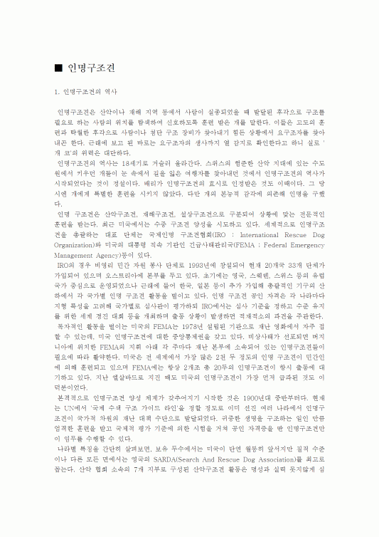 인명 구조견 레포트 자료