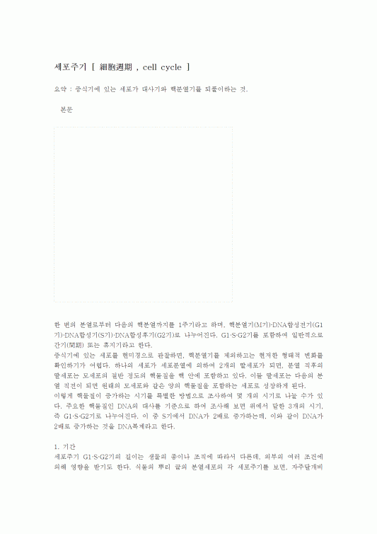 세포주기 레포트 자료