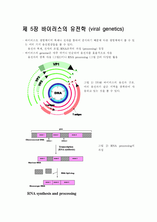 바이러스의 유전학