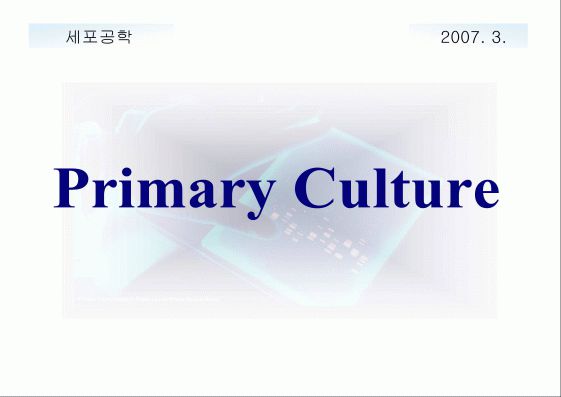 1차 세포 배양