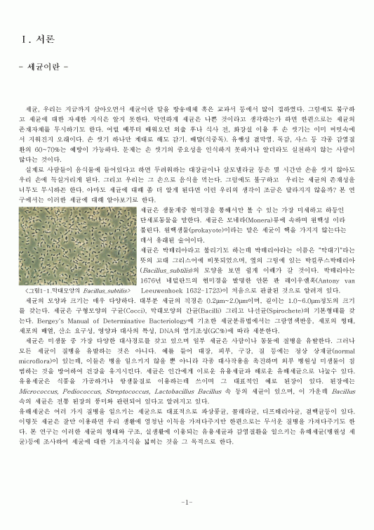 세균에 대한 기초조사