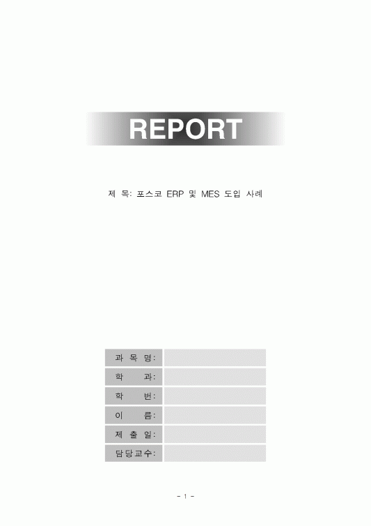 포스코의 경영정보시스템