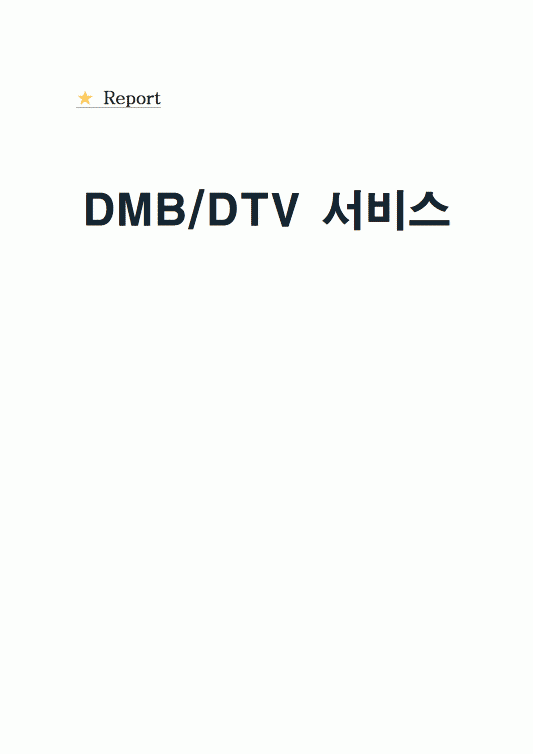 DMB/DTV 서비스 레포트 자료