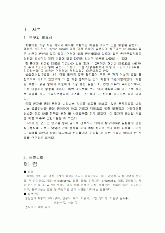 [아동간호] 폐렴(Pneumonia)아동 case study