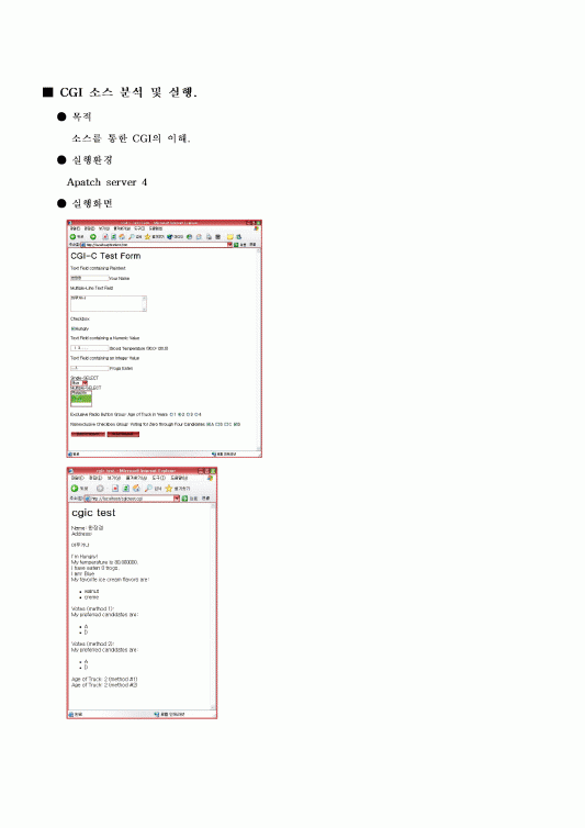 C로 짠 CGI 프로그램 소스 분석 및 실행