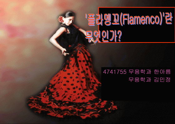 [예체능] 플라멩고