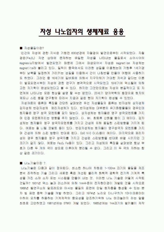 자성 나노입자의 생체응용
