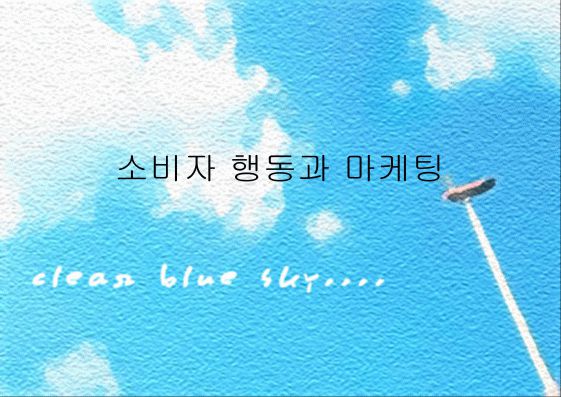 소비자 행동과 마케팅