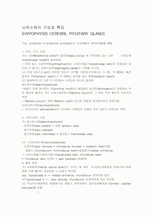 뇌하수체의 구성과 특징
