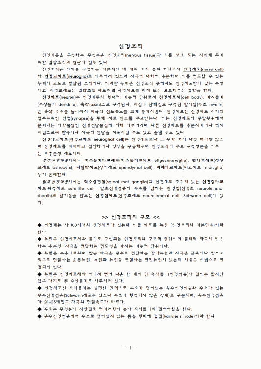 신경조직에 대해서