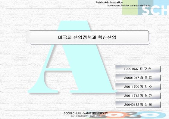 미국의 산업정책과 혁신산업