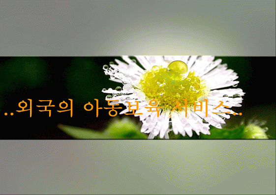 외국의 아동 보육 서비스