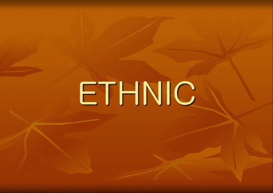 ETHNIC(에스닉) 레포트 자료