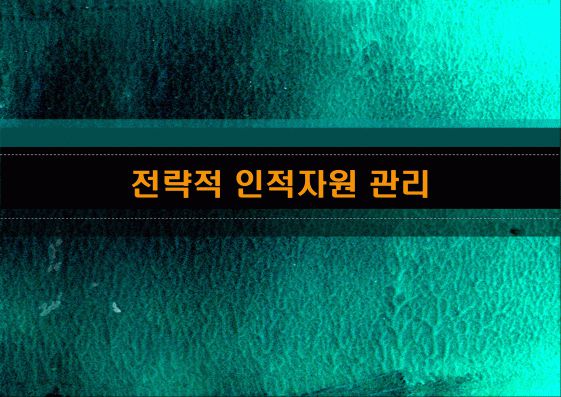 [경영] 전략적 인적자원 관리 연구
