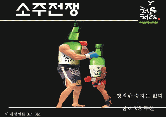 [마케팅] 처음처럼 성공요인 분석