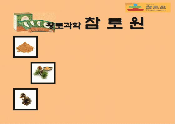 [마케팅] 황토과학 - 참토원 분석