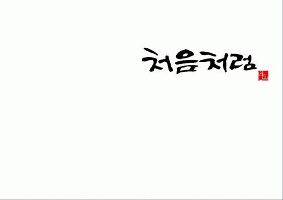 [마케팅] 처음처럼 성공요인 완벽 분석