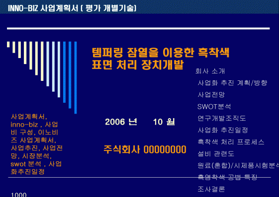 INNO-BIZ 사업계획서 ( 평가 개별기술)