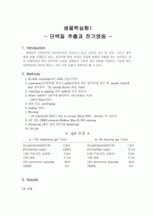 단백질 추출과 전기영동