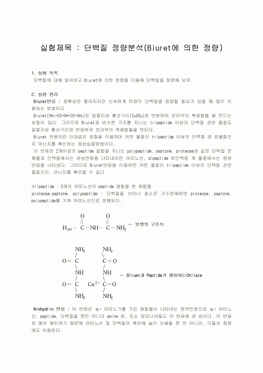 [자연] 단백질 정량