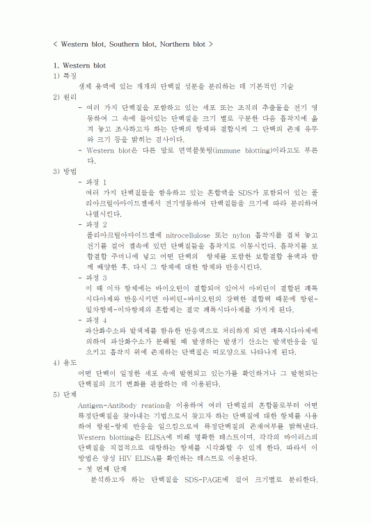 Western blot과 전기 영동