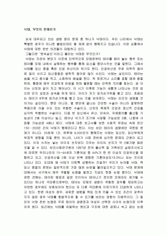 낙태, 무엇이 문제인가