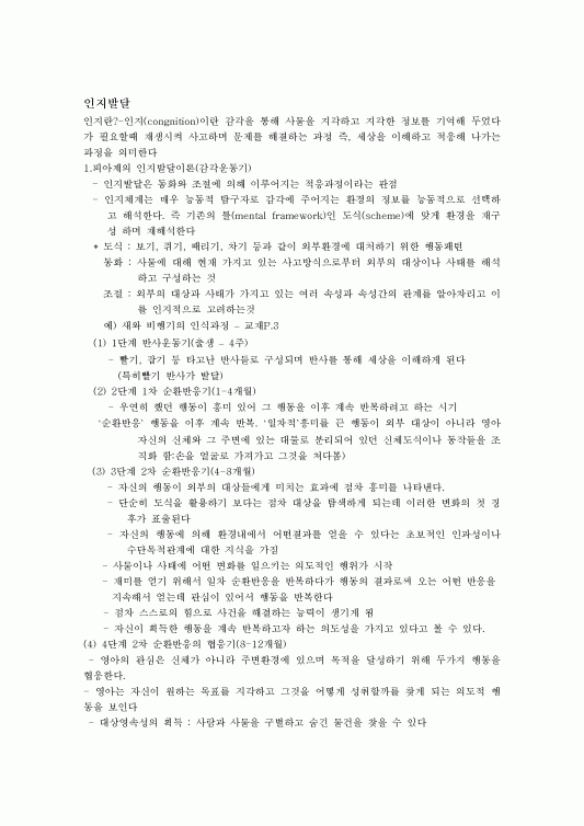 영아기 발달의  요약 정리