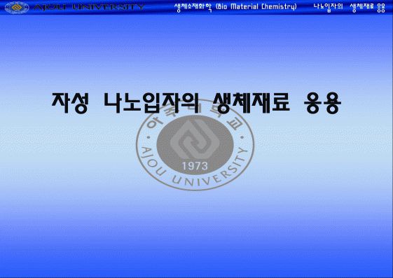 자성 나노입자의 생체재료의 응용