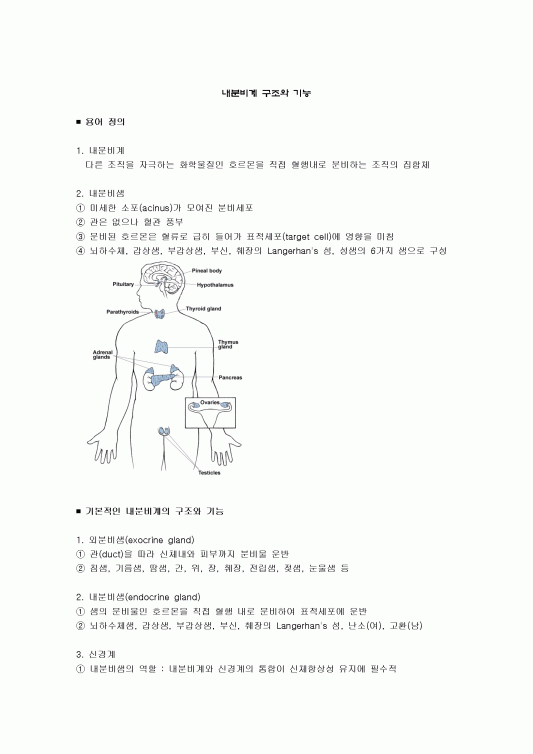 내분비계 구조와 기능 [논문]
