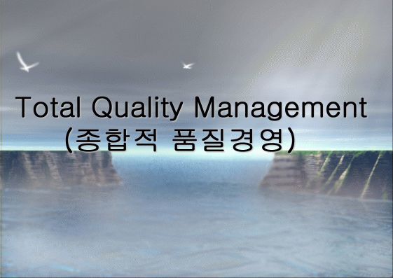 종합적 품질경영