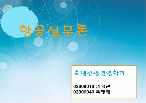 지방공항의 문제점과 발전 방향