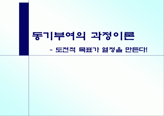 동기부여의 과정이론
