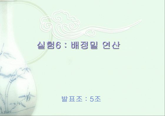 디지털 실험 배정밀 연산 ppt발표자료