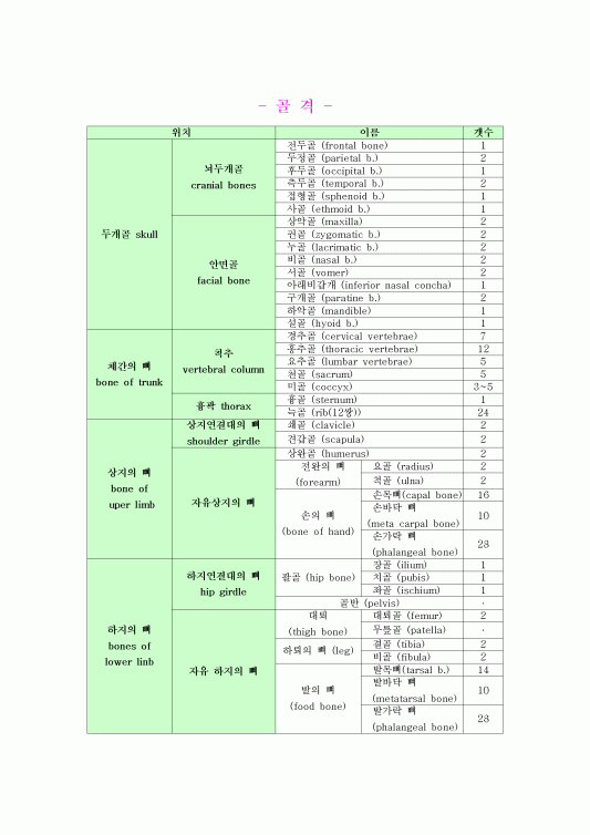 골격구조 레포트 자료