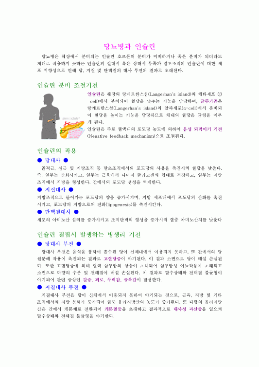 [간호]당뇨병과 인슐린
