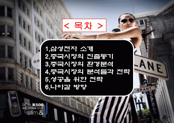 [인문과학] 애니콜의 중국 진출기