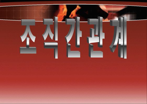 조직간 관계 레포트 자료